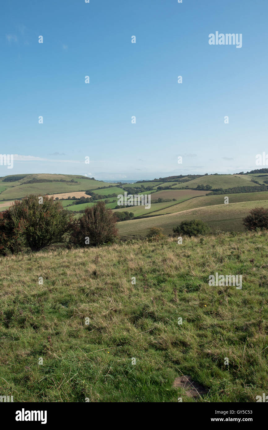 The rolling hills of Dorset, England Stock Photo - Alamy