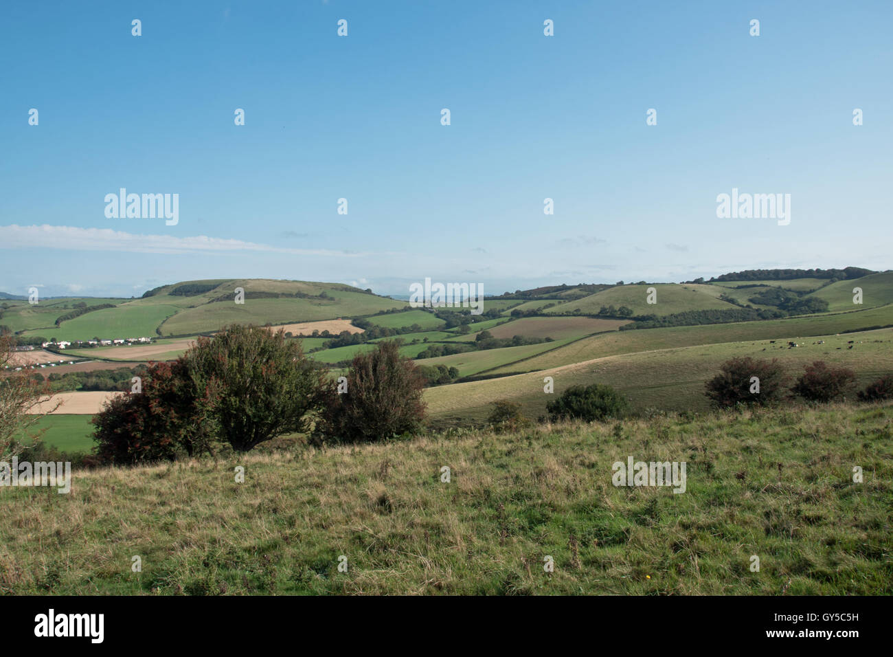 The rolling hills of Dorset, England Stock Photo - Alamy