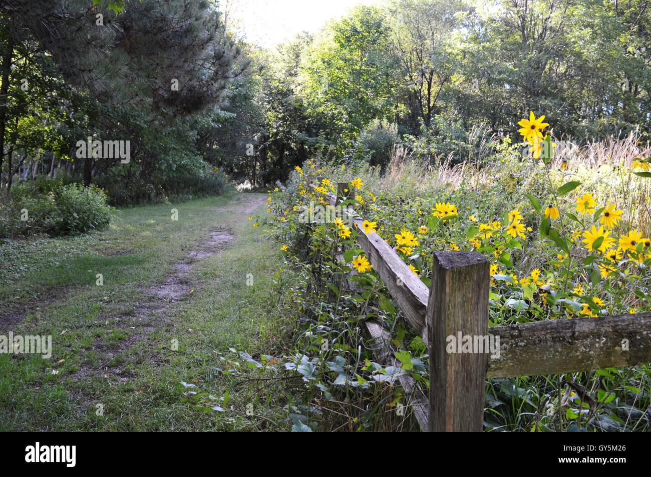 Prairie Restoration Site Stock Photo - Alamy