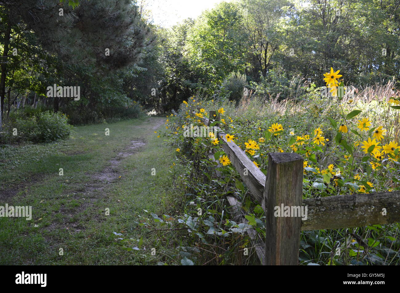 Prairie Restoration Site Stock Photo - Alamy
