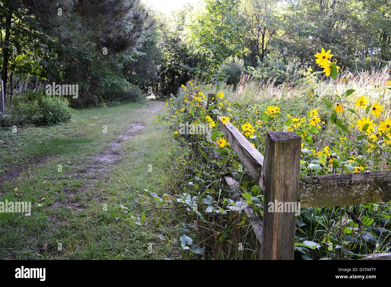 Prairie Restoration Site Stock Photo - Alamy