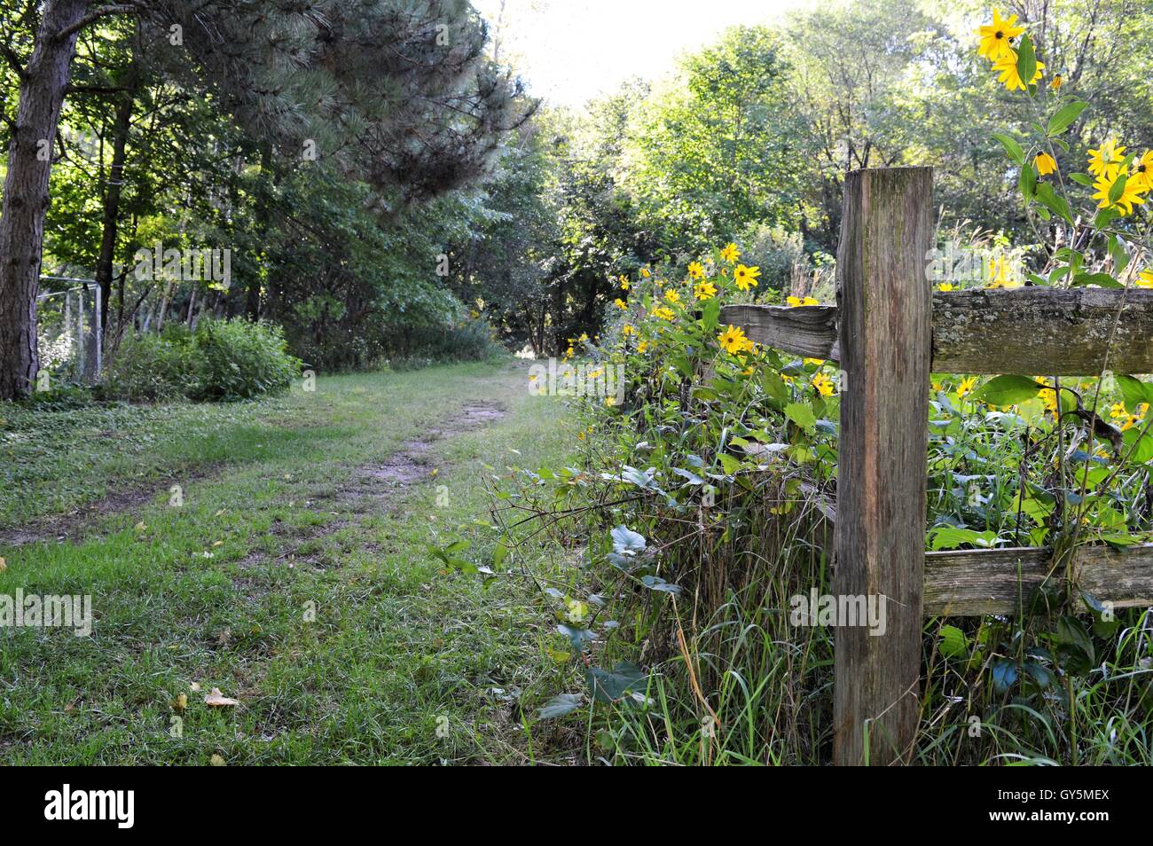 Prairie Restoration Site Stock Photo - Alamy
