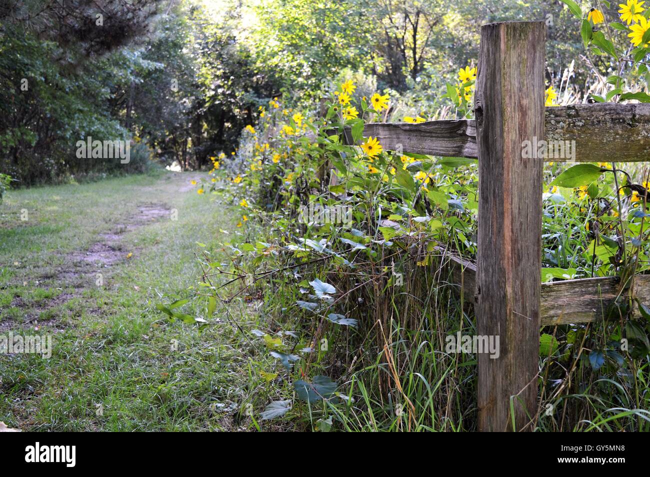 Prairie Restoration Site Stock Photo - Alamy