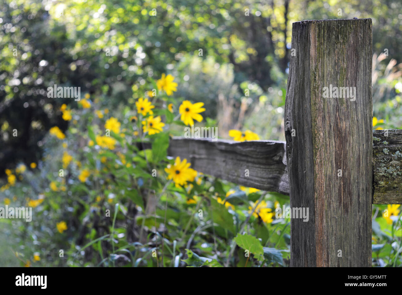 Prairie Restoration Site Stock Photo - Alamy