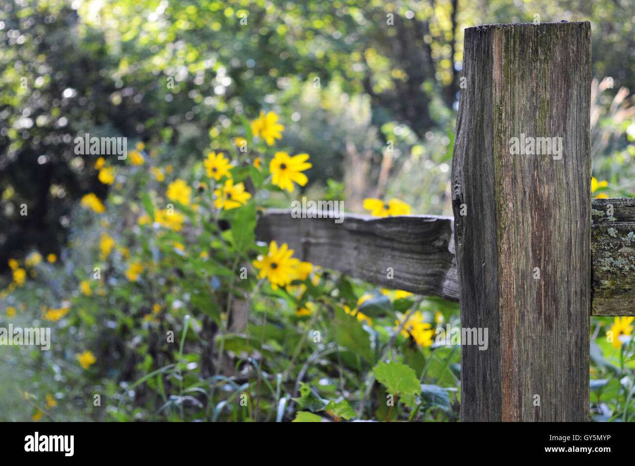 Prairie Restoration Site Stock Photo - Alamy