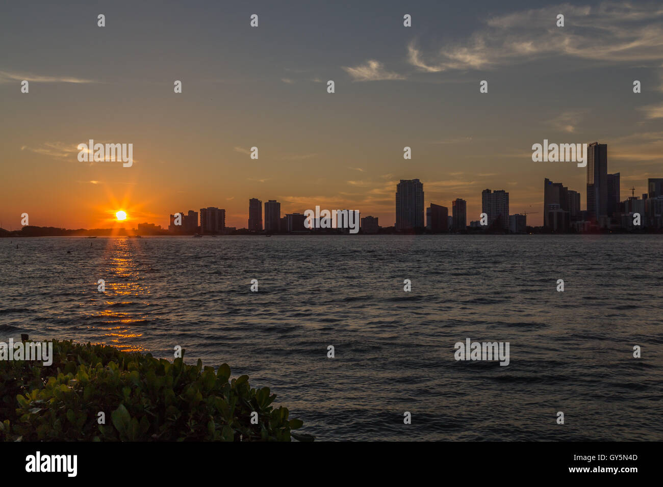 Florida, USA, Miami Stock Photo - Alamy