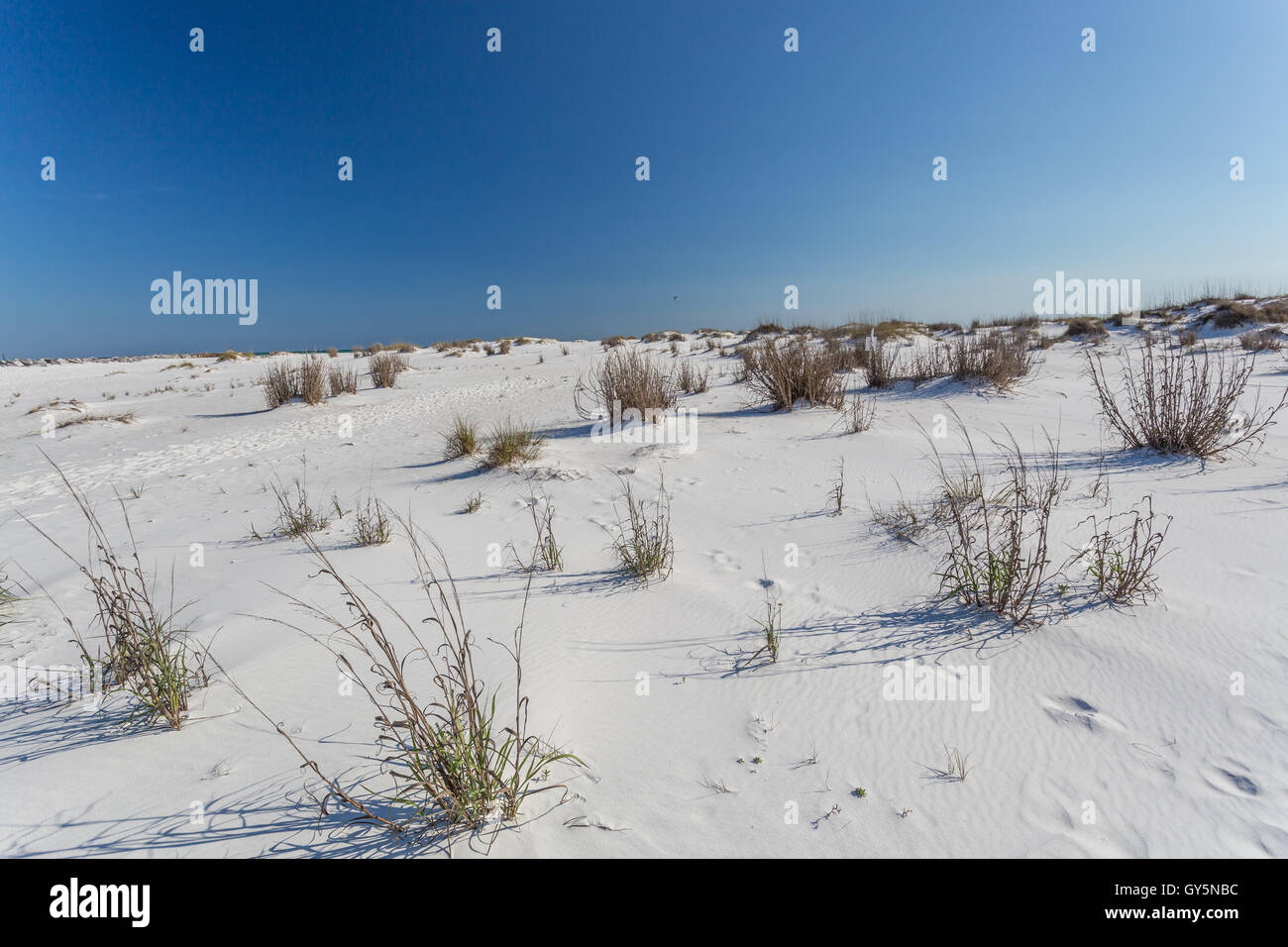 Florida, USA, Panhandle Stock Photo - Alamy