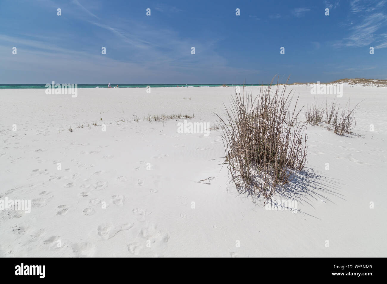 Florida, USA, Panhandle Stock Photo - Alamy