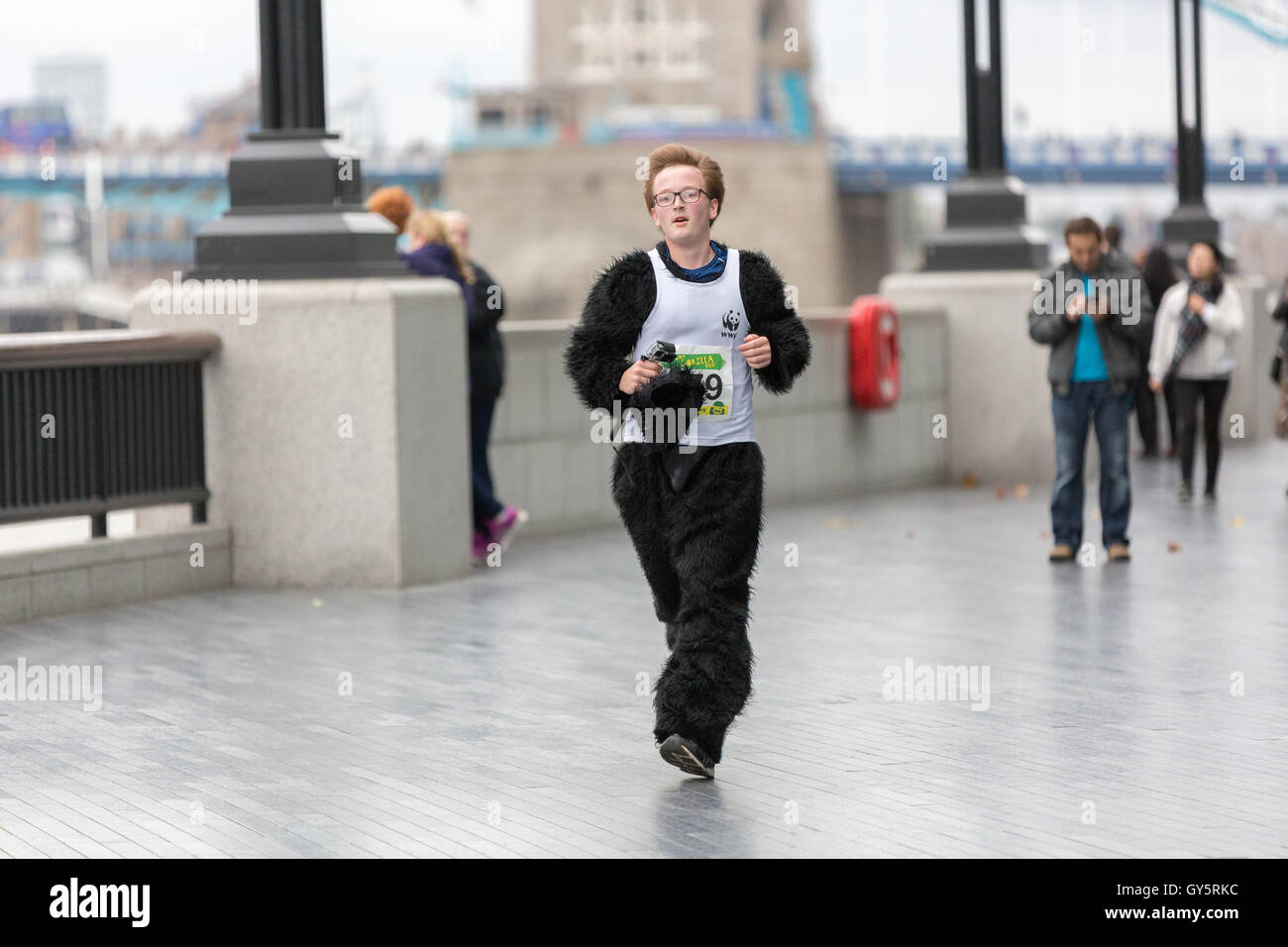 The Great Gorilla Run now in its 14th year, is a charity fun run that ...