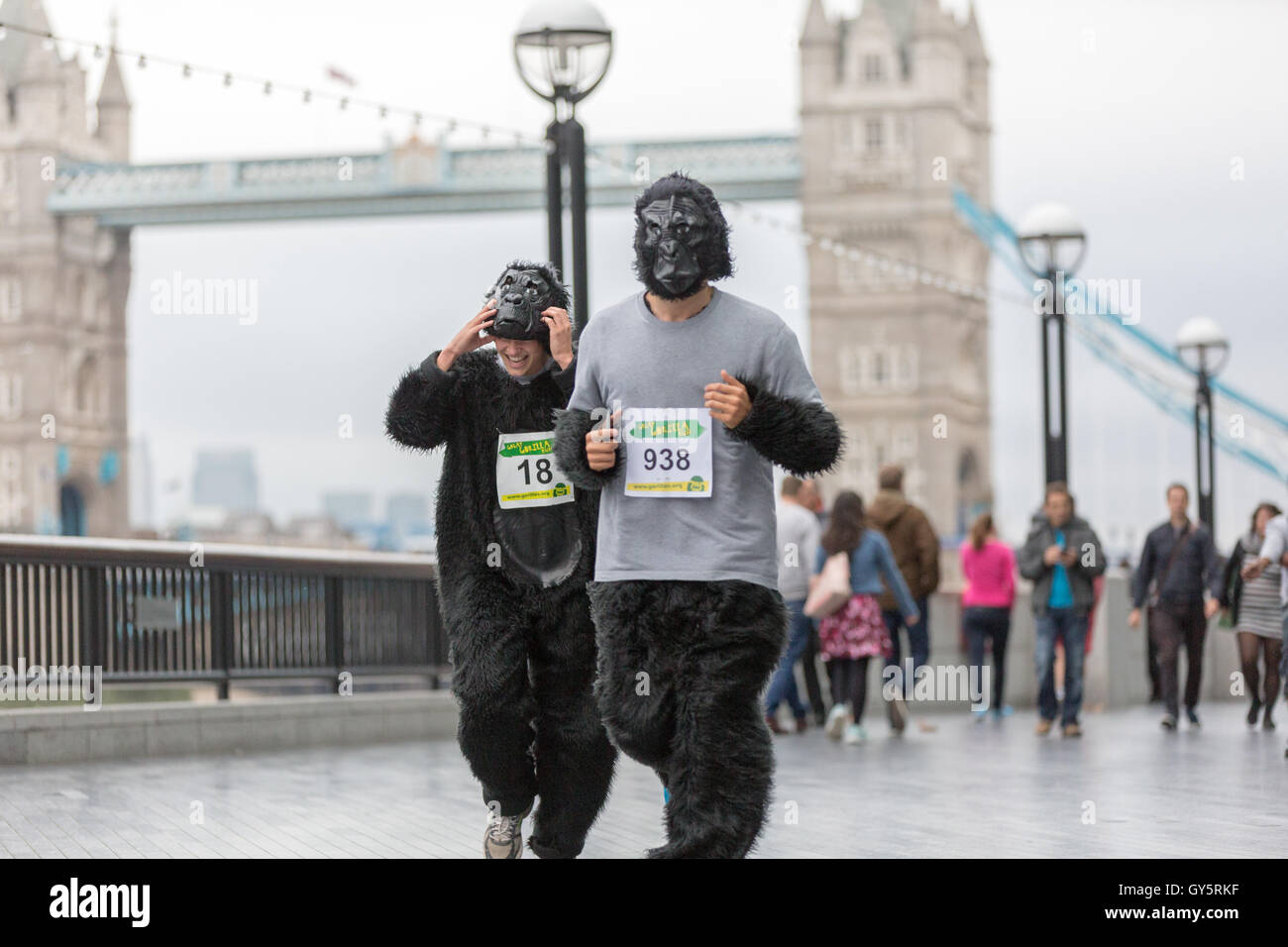 The Great Gorilla Run now in its 14th year, is a charity fun run that ...