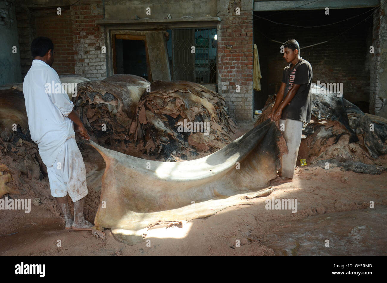 Lahore, Pakistan. 17th Sep, 2016. Pakistani workers collecting ...