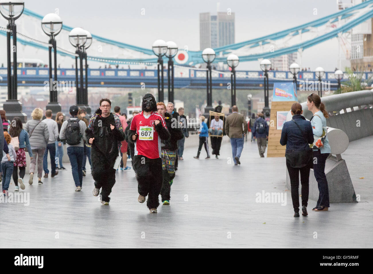 The Great Gorilla Run now in its 14th year, is a charity fun run that ...
