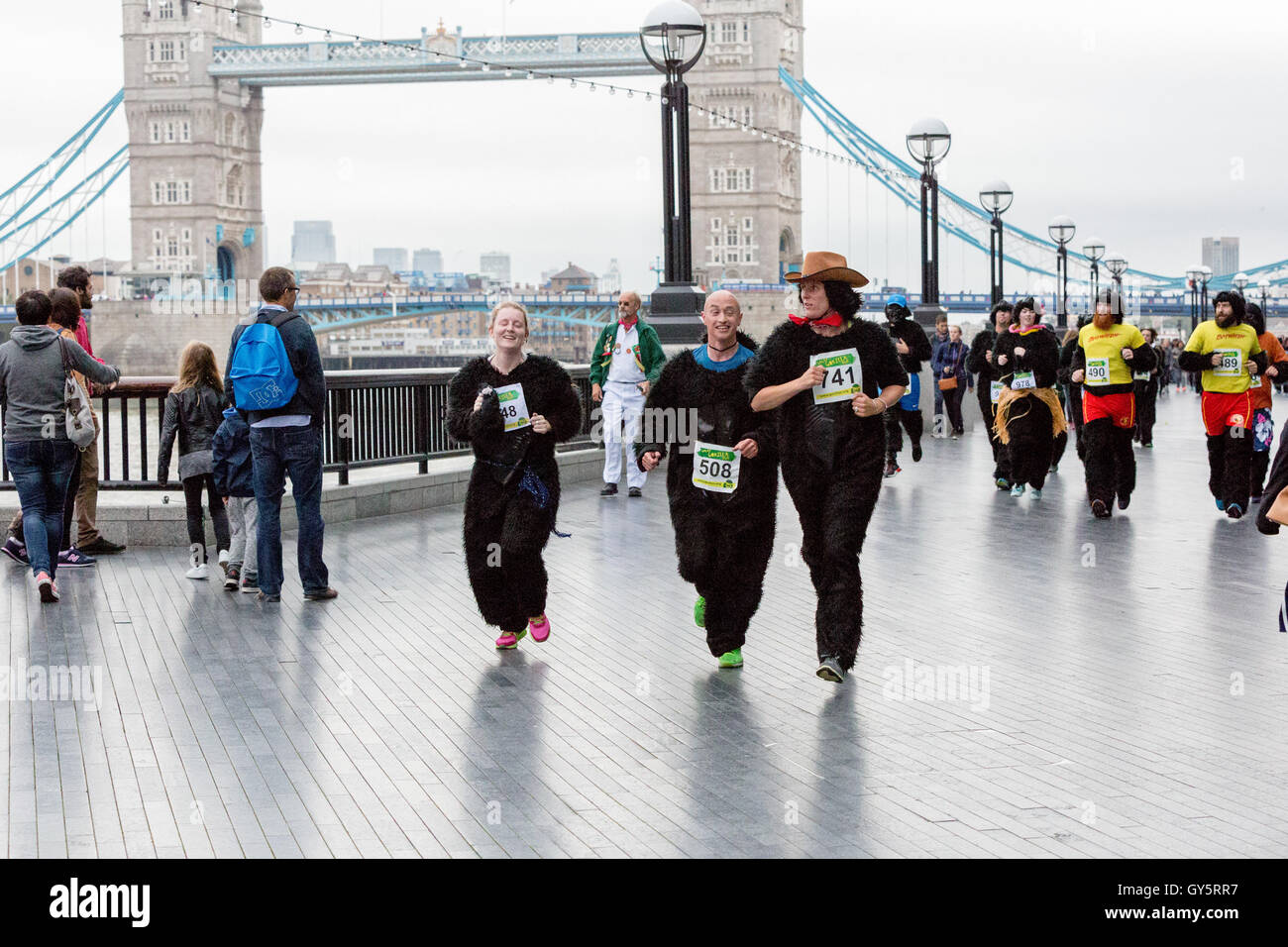 The Great Gorilla Run now in its 14th year, is a charity fun run that ...