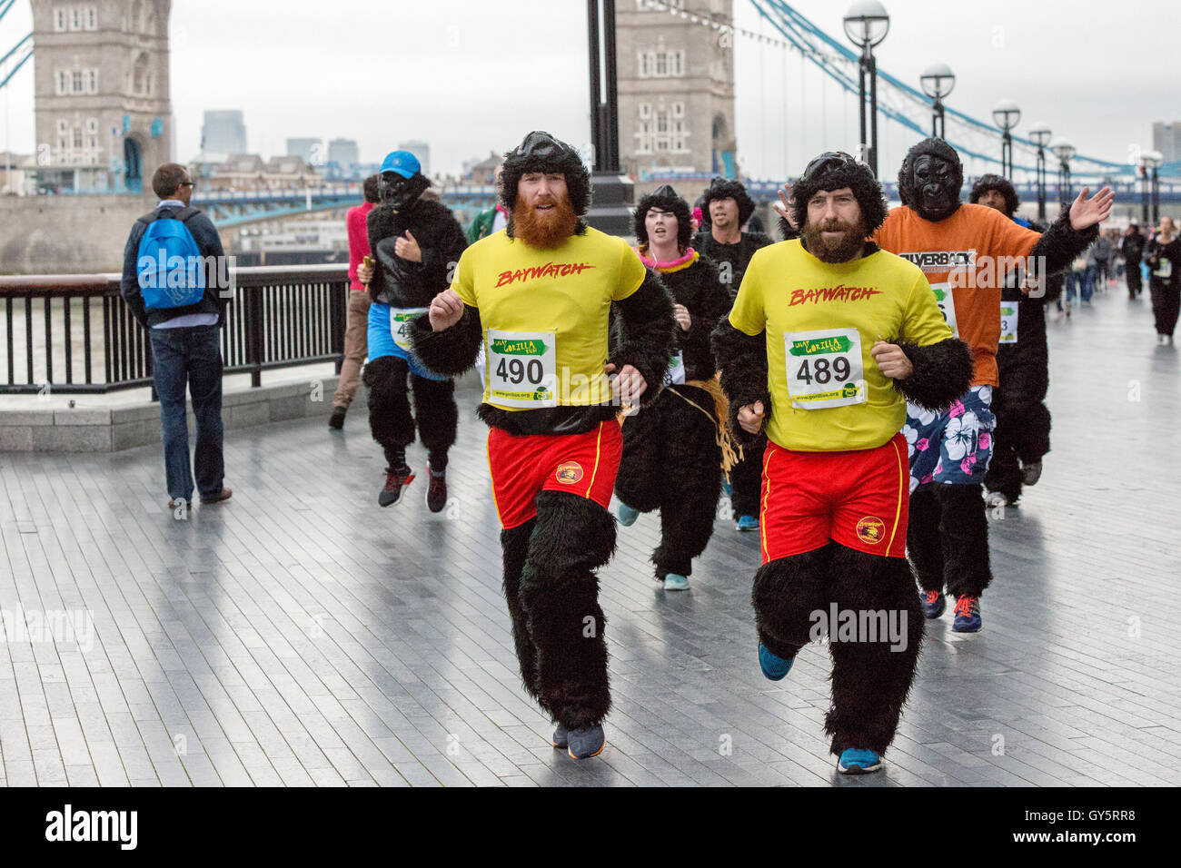The Great Gorilla Run now in its 14th year, is a charity fun run that ...
