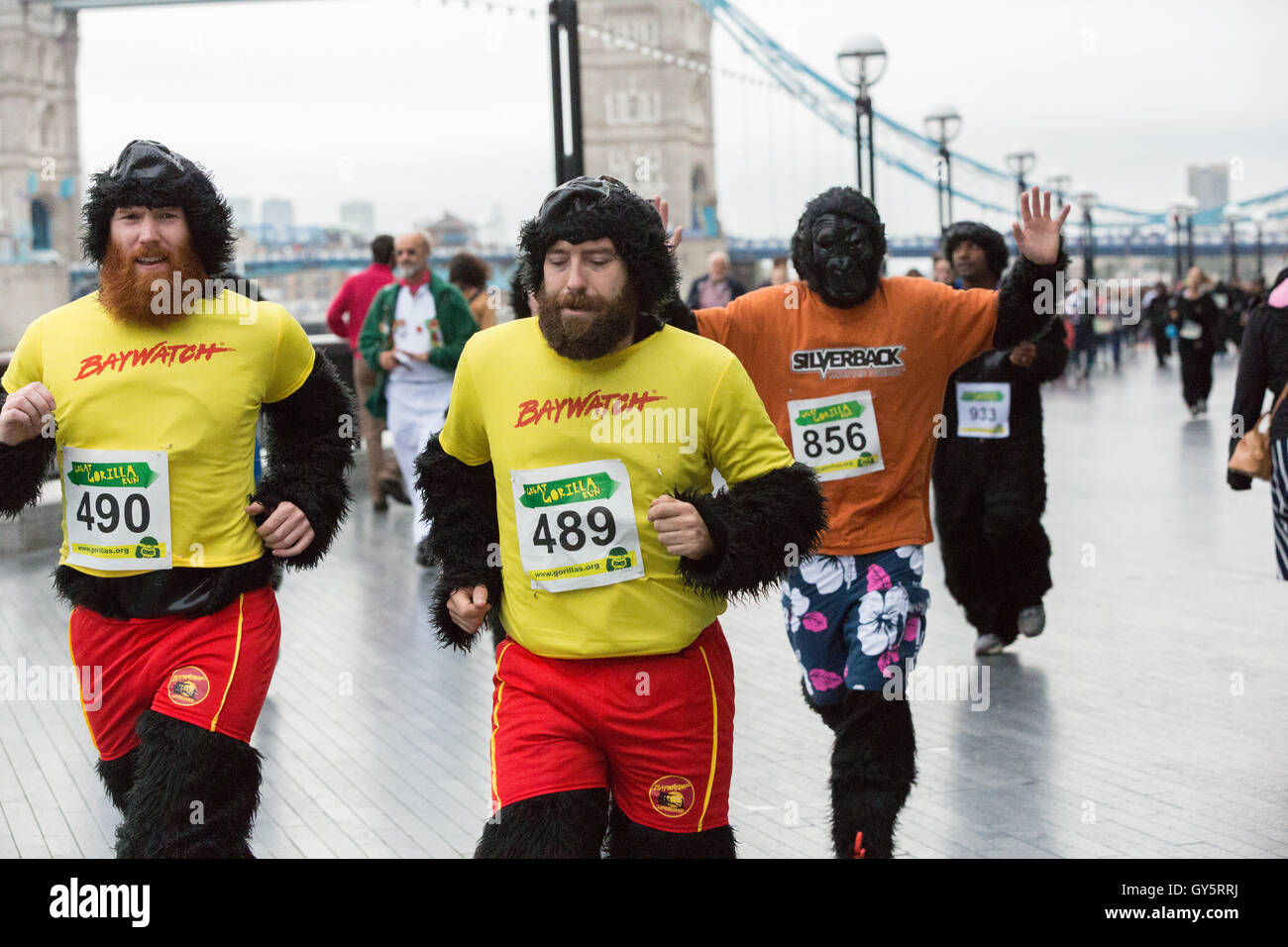 The Great Gorilla Run now in its 14th year, is a charity fun run that ...