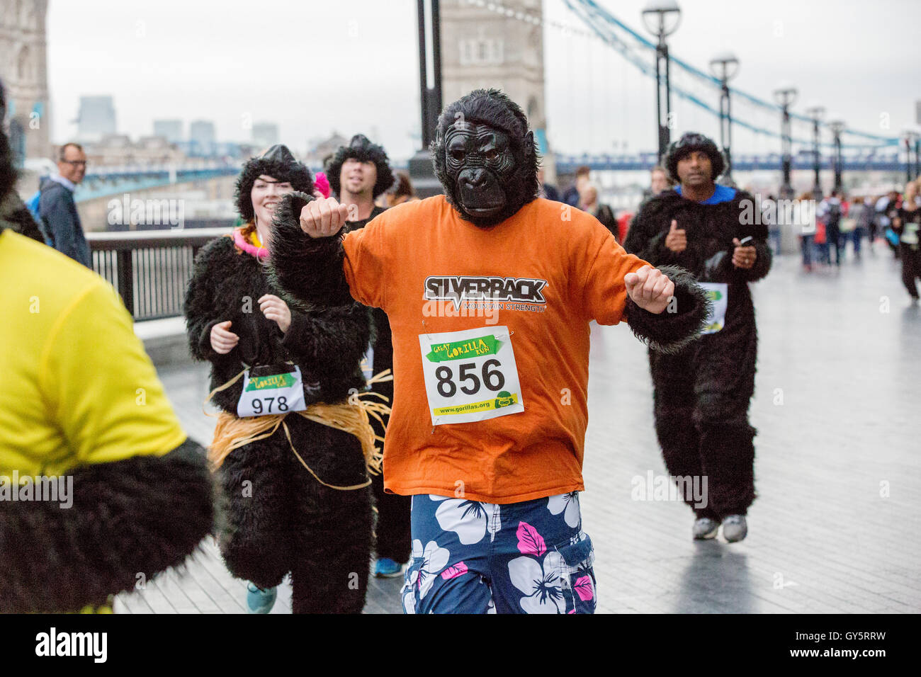 The Great Gorilla Run now in its 14th year, is a charity fun run that ...