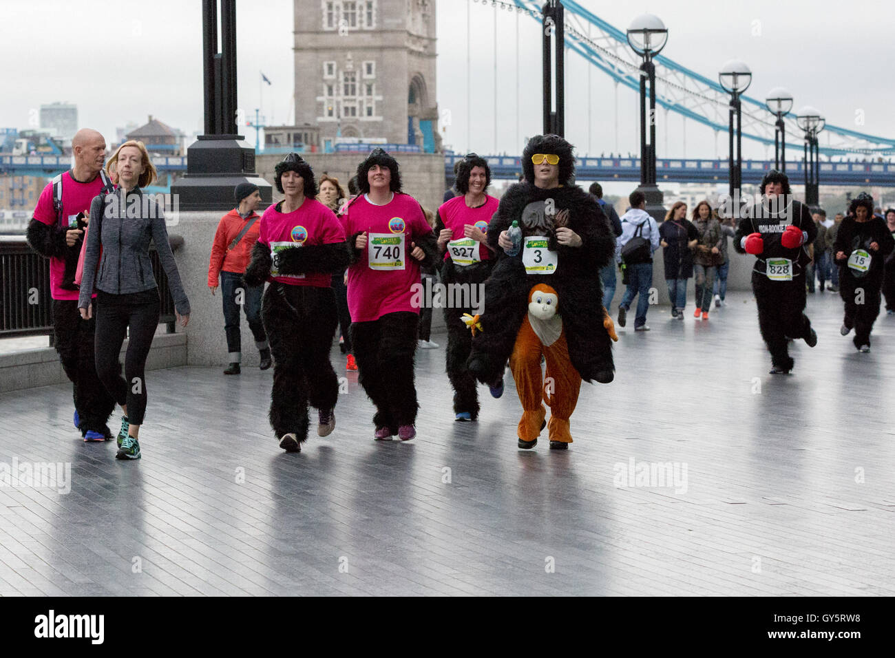 The Great Gorilla Run now in its 14th year, is a charity fun run that ...