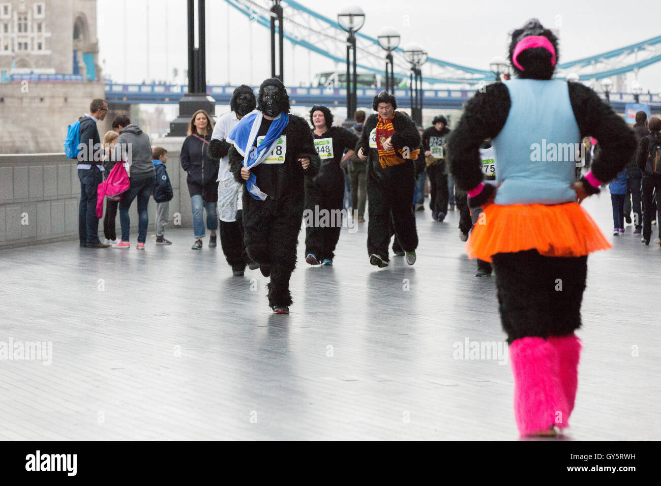 The Great Gorilla Run now in its 14th year, is a charity fun run that ...