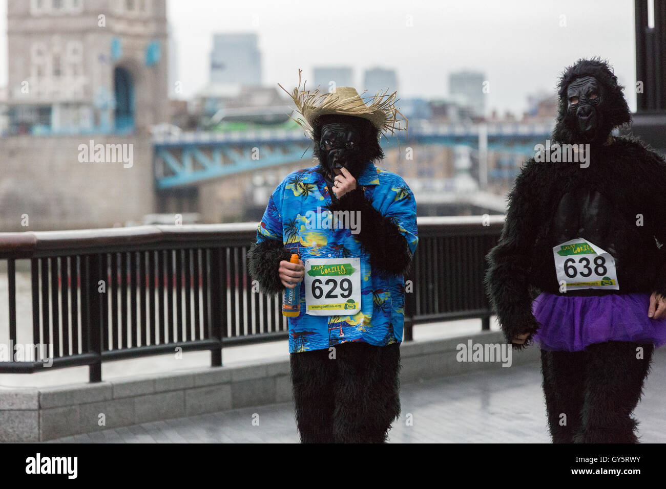 The Great Gorilla Run now in its 14th year, is a charity fun run that ...