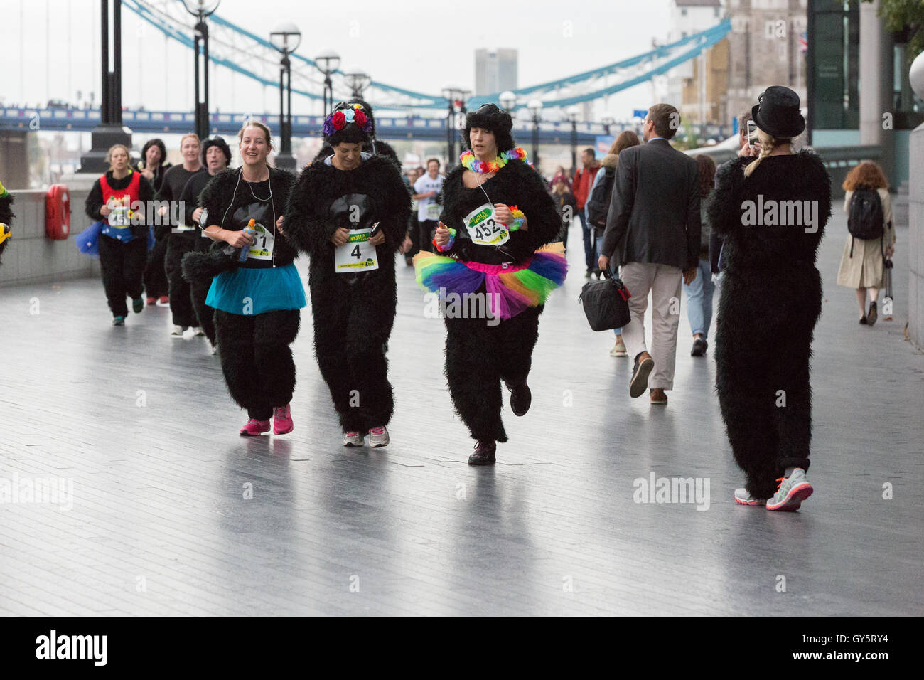 The Great Gorilla Run now in its 14th year, is a charity fun run that ...