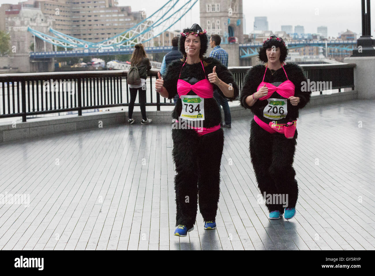 The Great Gorilla Run now in its 14th year, is a charity fun run that ...