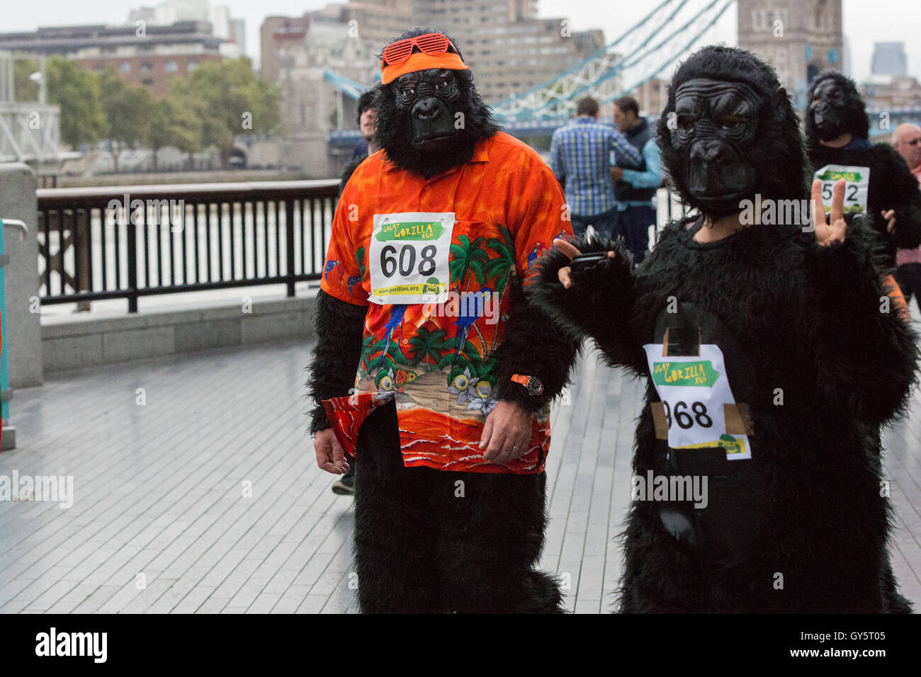 The Great Gorilla Run now in its 14th year, is a charity fun run that ...