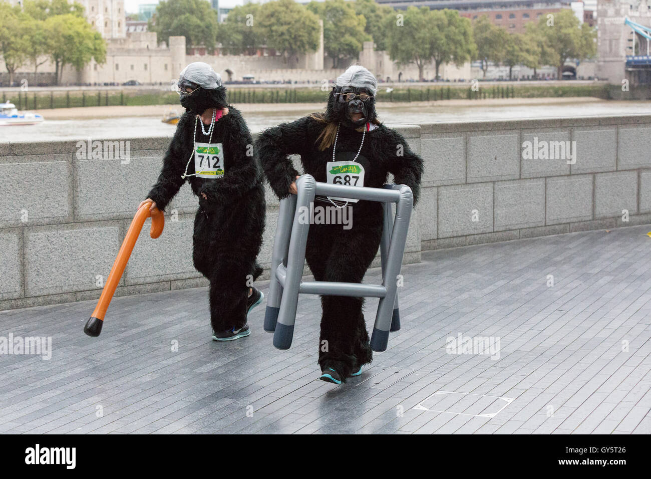 The Great Gorilla Run now in its 14th year, is a charity fun run that ...