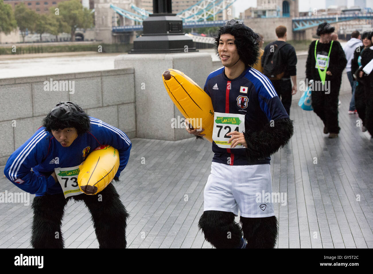 The Great Gorilla Run now in its 14th year, is a charity fun run that ...