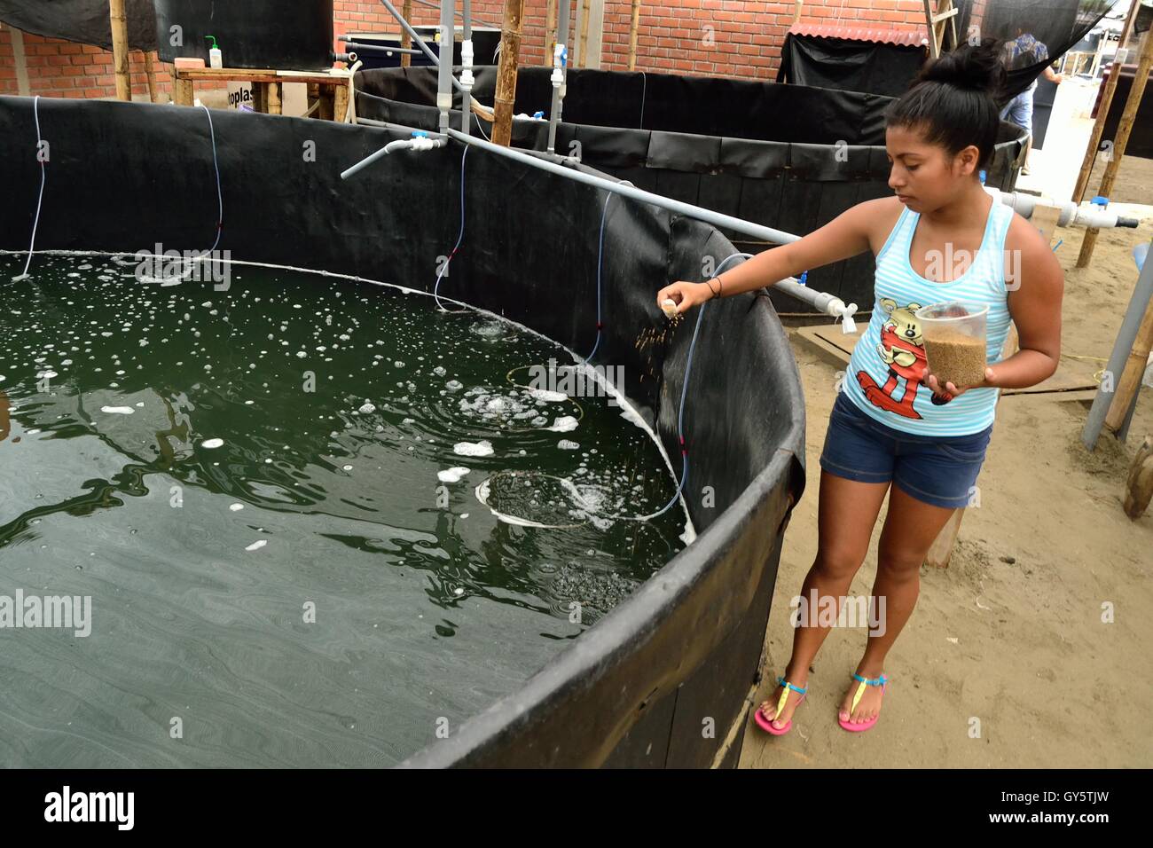 Food for prawns - Fish farming project in PUERTO PIZARRO -Tumbes- PERU ...
