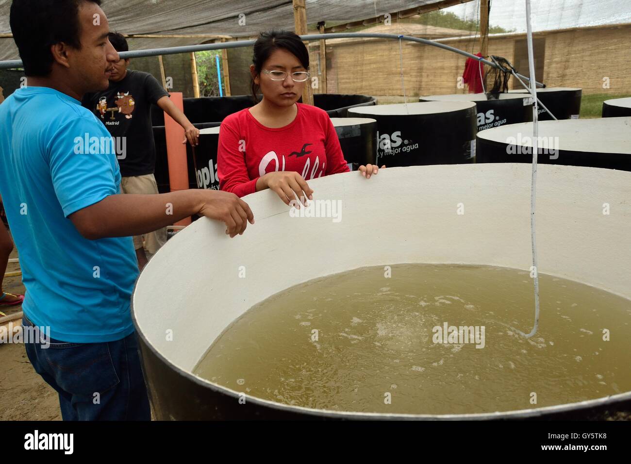 Fish farming project in PUERTO PIZARRO -Tumbes- PERU Stock Photo - Alamy