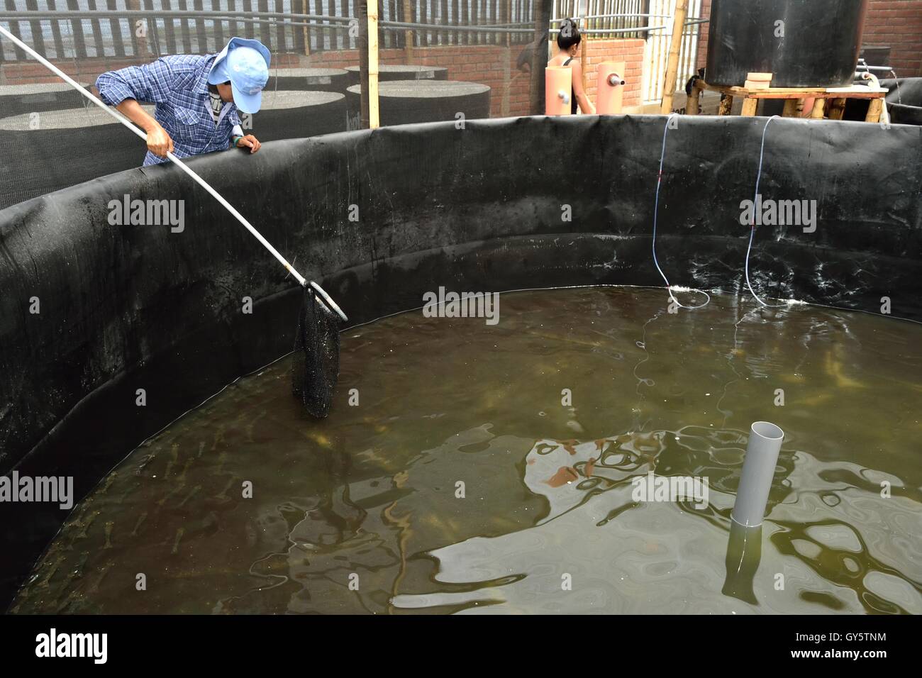 Shrimp - Fish farming project in PUERTO PIZARRO -Tumbes -PERU Stock ...