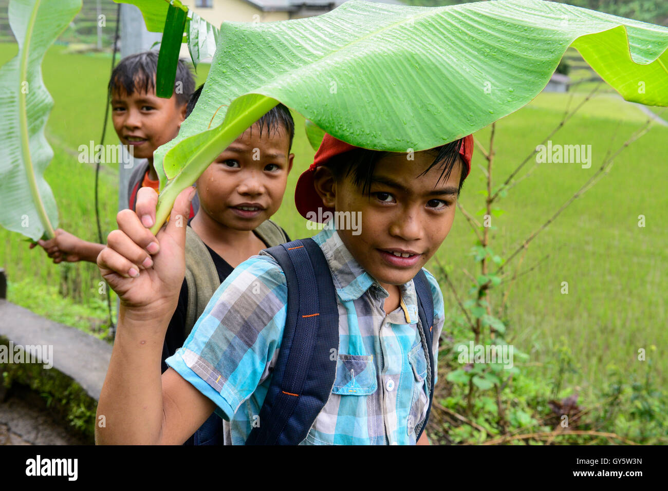 PHILIPPINES, Ifugao Province, Cordilleras, Banaue, Hunduan, rice ...