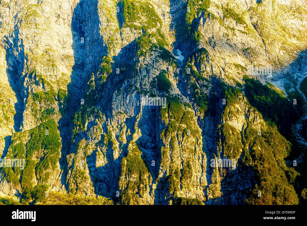Moose covered rocks hi-res stock photography and images - Alamy