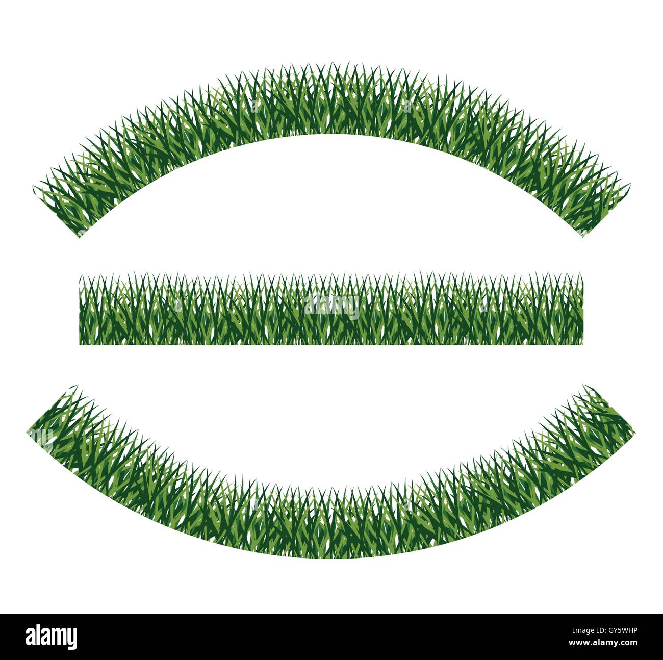 Green grass plant design Stock Vector Image & Art - Alamy