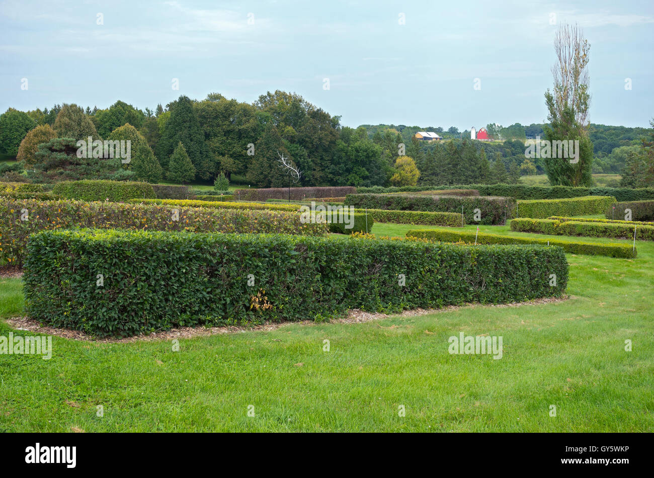 Outdoor hedges landscape hi-res stock photography and images - Alamy