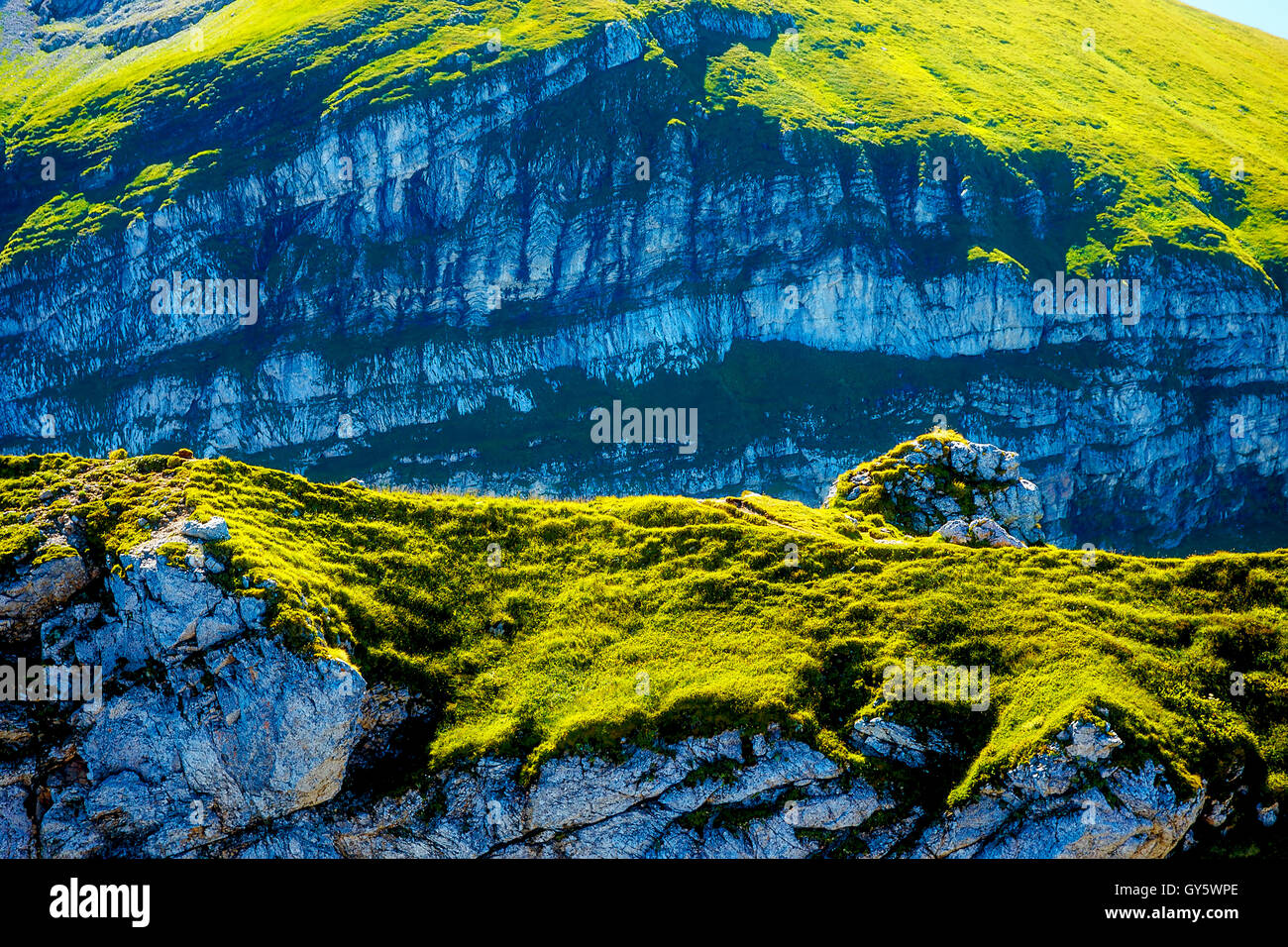beautiful details of alpine mountain landscape on bright summer day ...