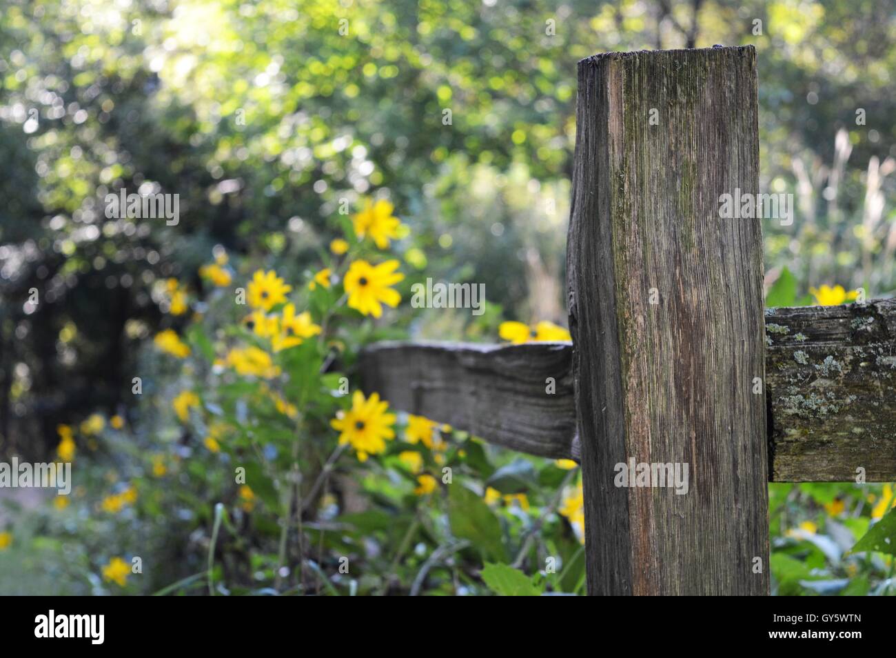 Prairie Restoration Site Stock Photo - Alamy
