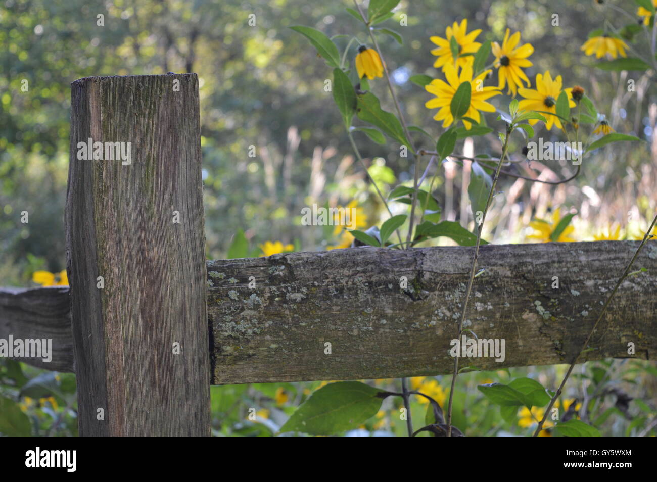 Prairie Restoration Site Stock Photo - Alamy