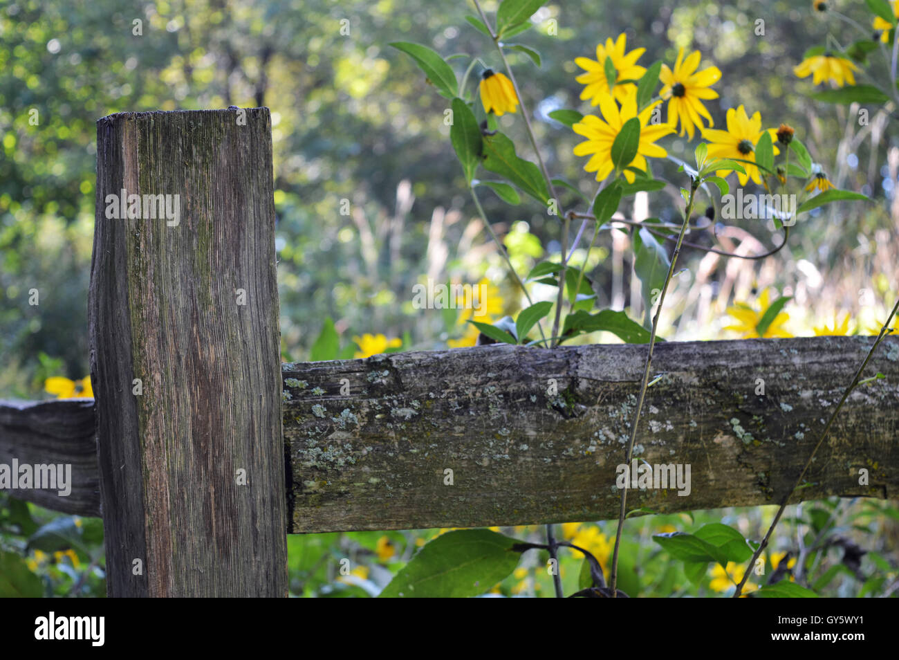 Prairie Restoration Site Stock Photo - Alamy
