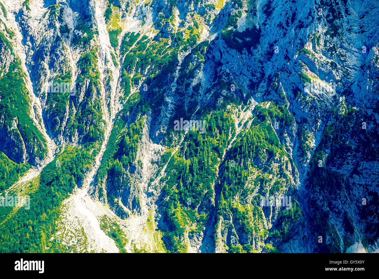 Moose covered rocks hi-res stock photography and images - Alamy
