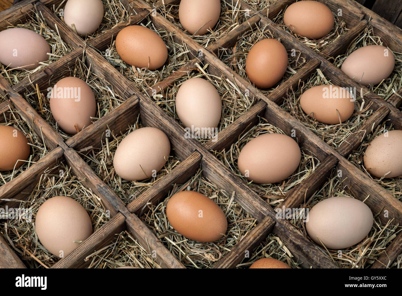 Box with chicken,turkey,goose and duck eggs collection Stock Photo - Alamy