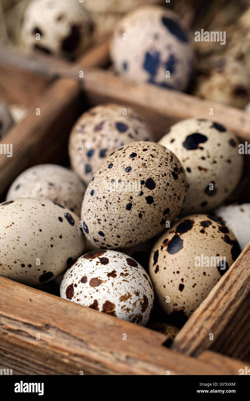 Quail eggs hi-res stock photography and images - Alamy