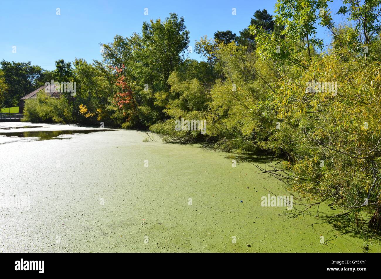 Water at shoreline hi-res stock photography and images - Alamy