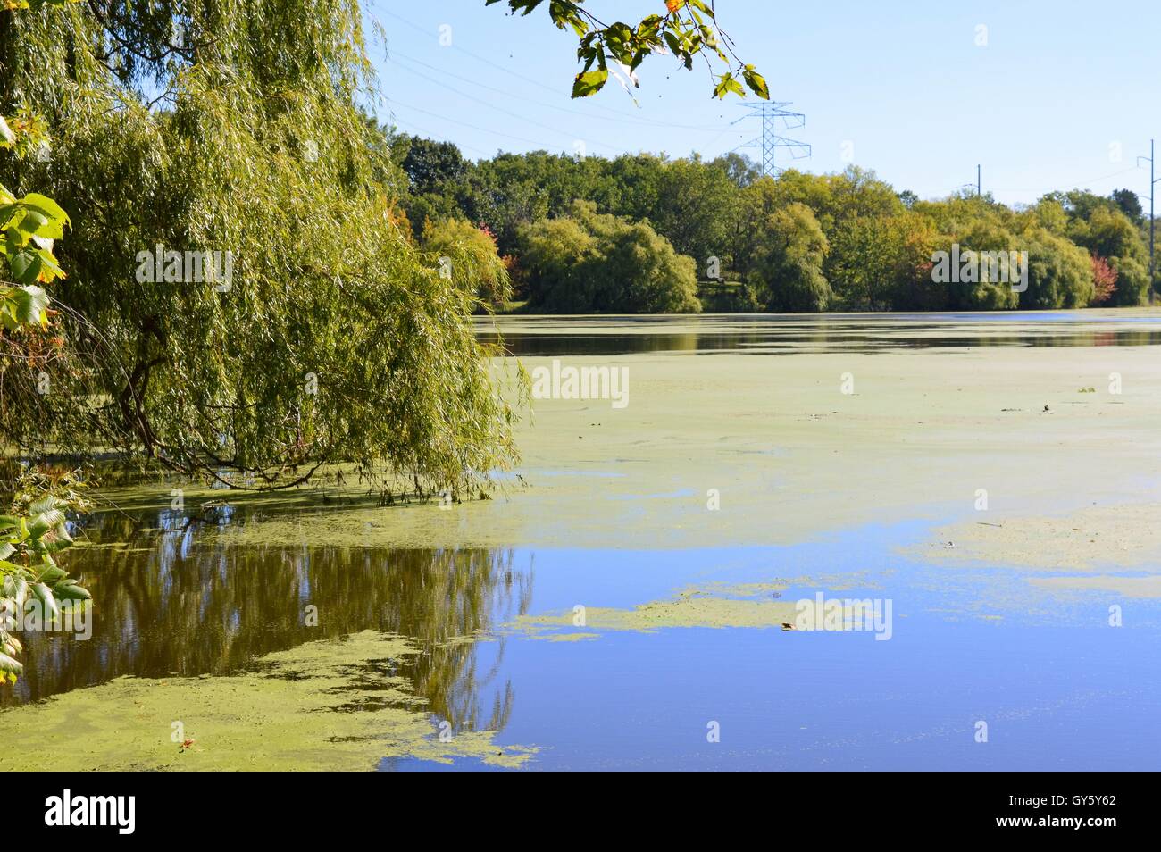 Water summer shoreline hi-res stock photography and images - Alamy