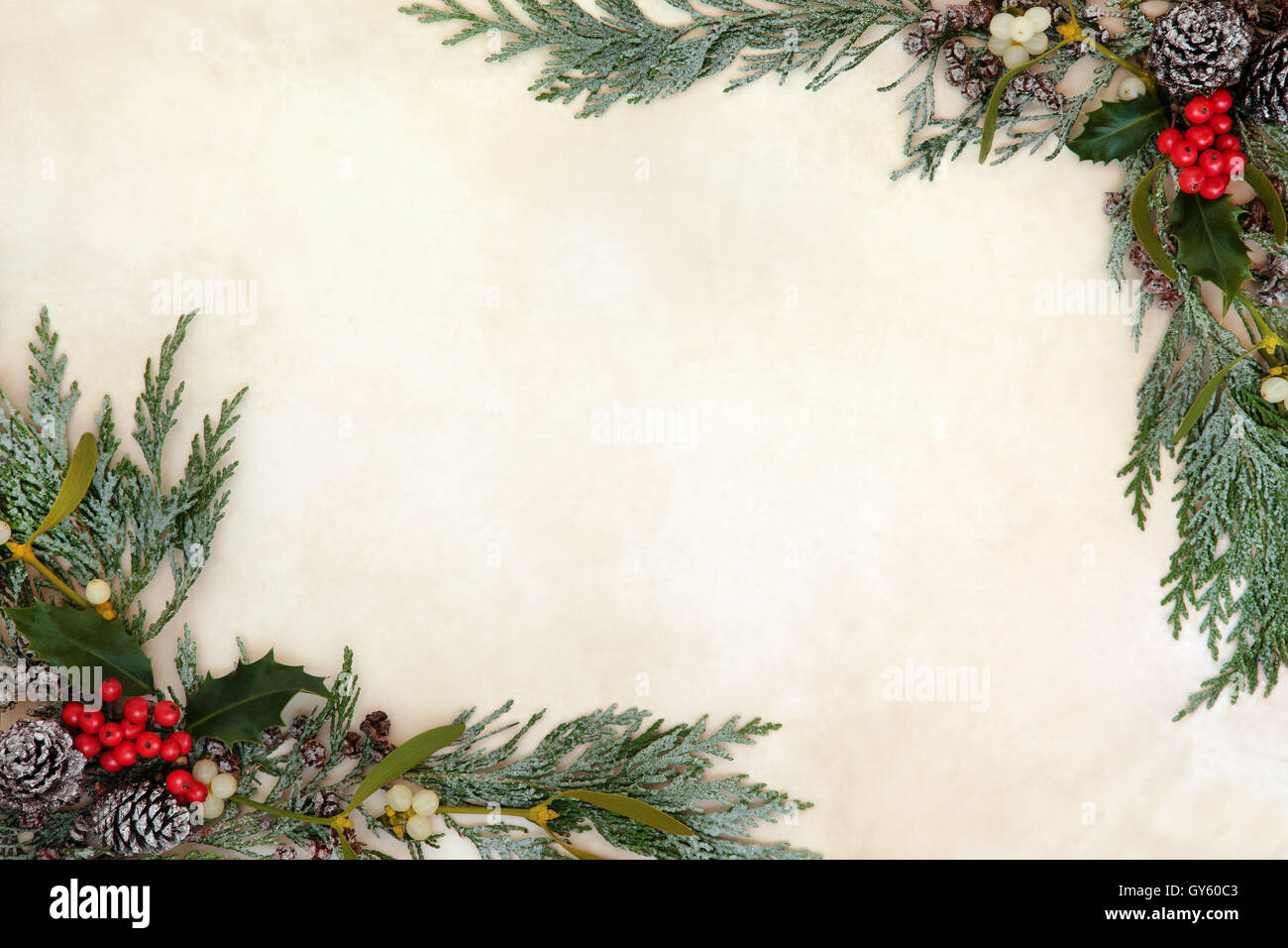Winter and christmas background border with holly, ivy, mistletoe, snow ...