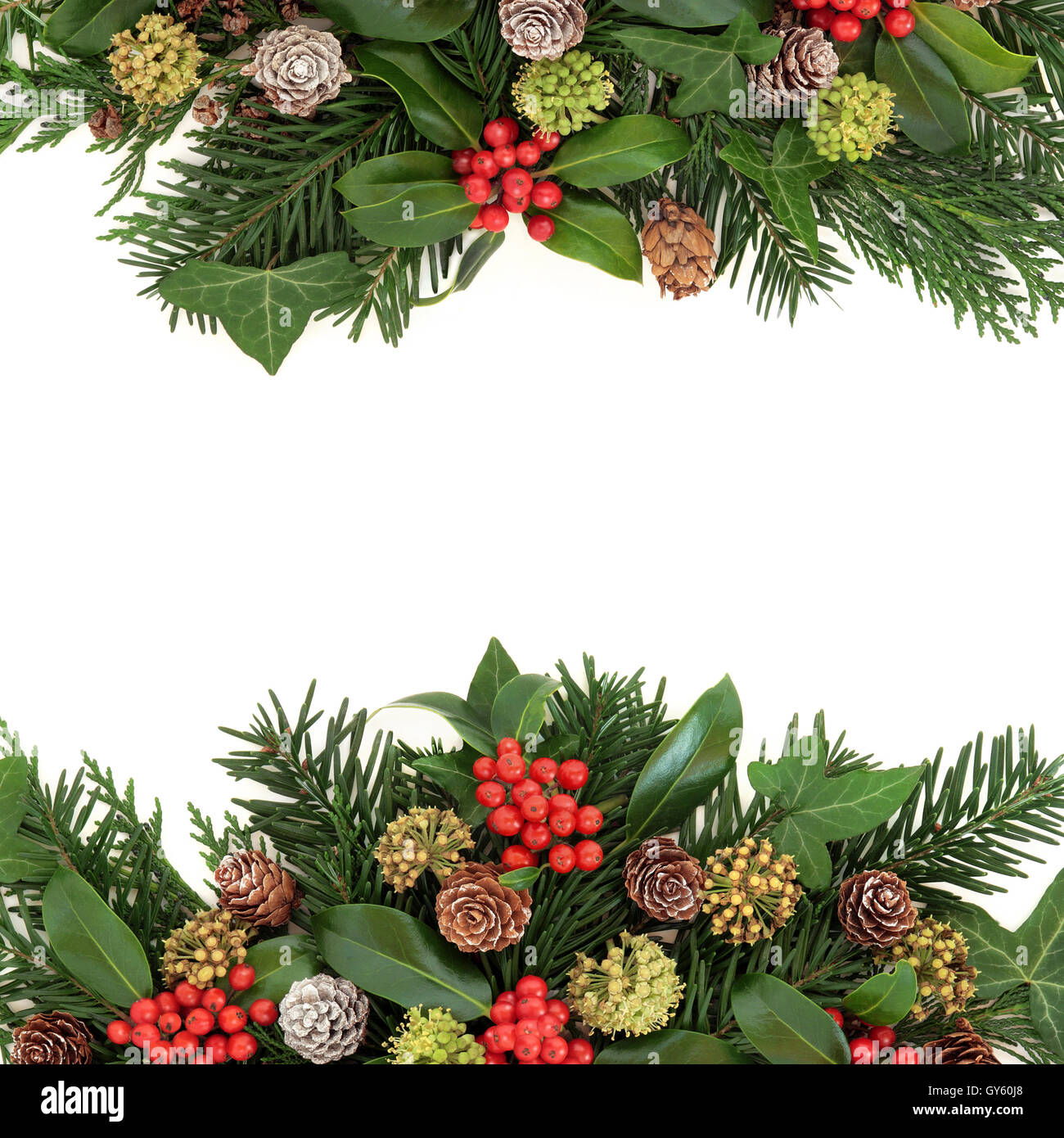 Winter and christmas greenery border with holly, ivy, pine cones, cedar ...