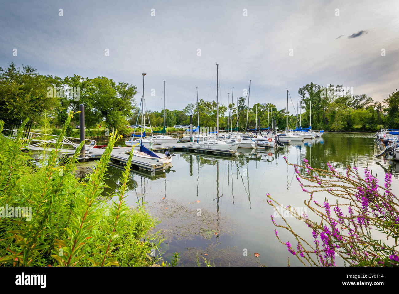 Washington sailing marina High Resolution Stock Photography and Images ...