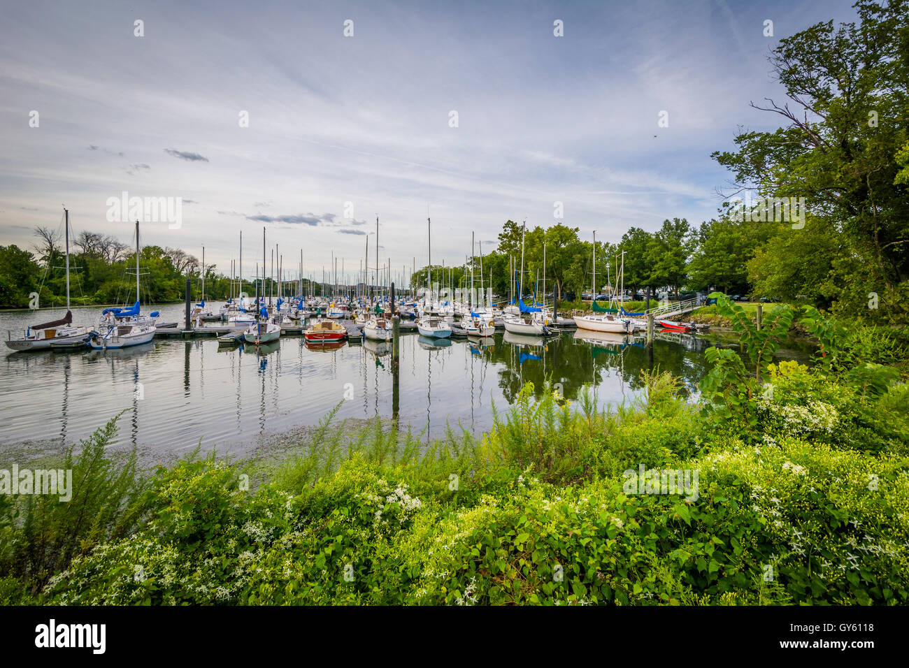 Boats at the Washington Sailing Marina, along the George Washington ...