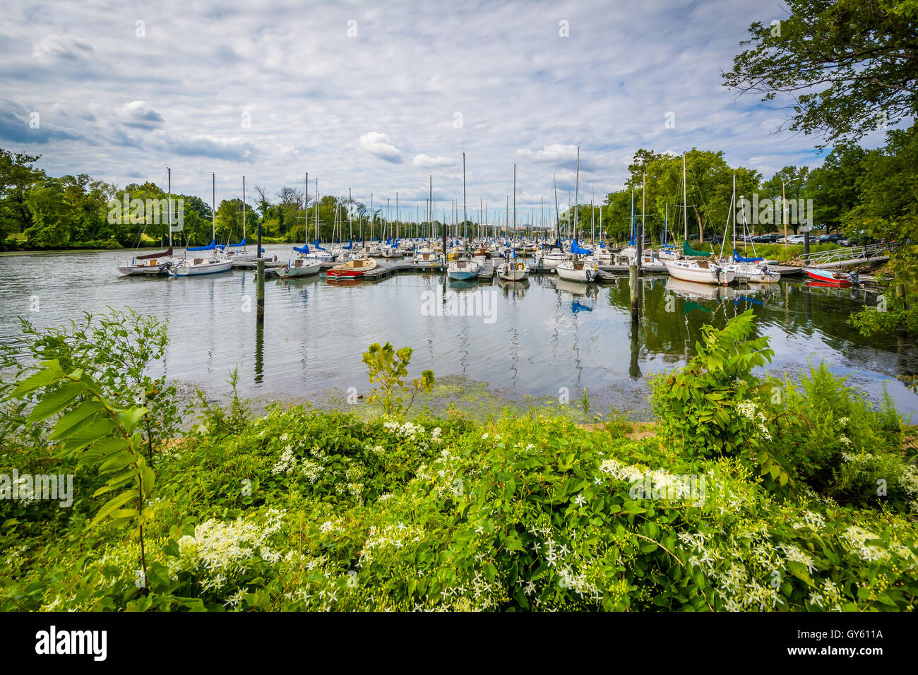 Boats at the Washington Sailing Marina, along the George Washington ...