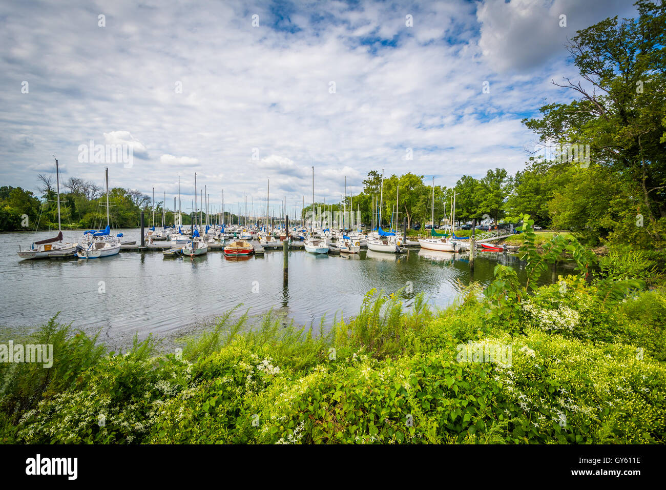 Boats at the Washington Sailing Marina, along the George Washington ...
